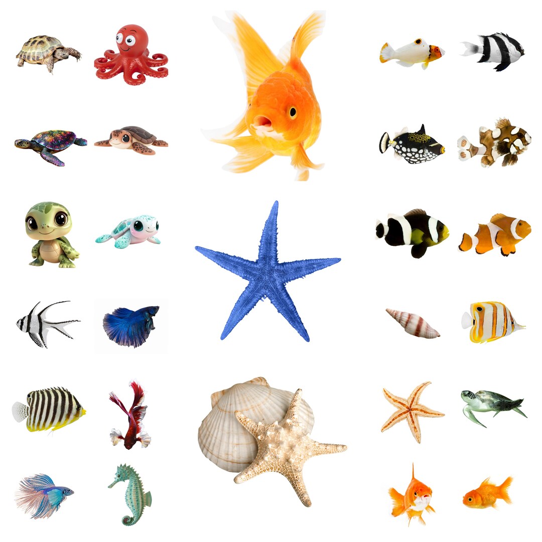 Sea Animals PNG Bundle | 54 Colorful Fish Clipart | Ocean Animals ...
