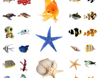Colorful Fish Clipart Set: Sea Animals PNG (digital Download) - Etsy UK