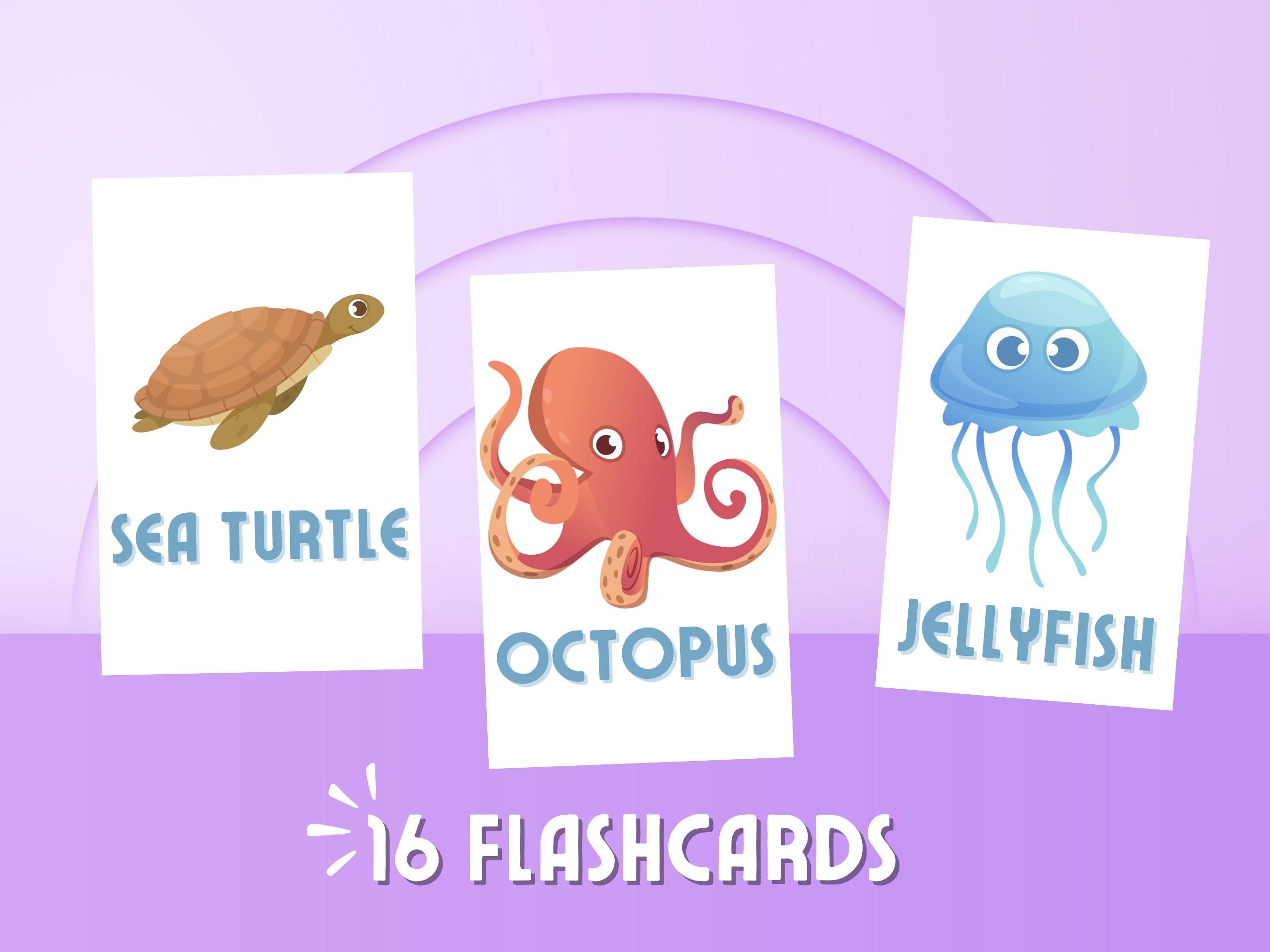 Printable Ocean Life Flash Cards for Toddlers, Preschool, Early ...