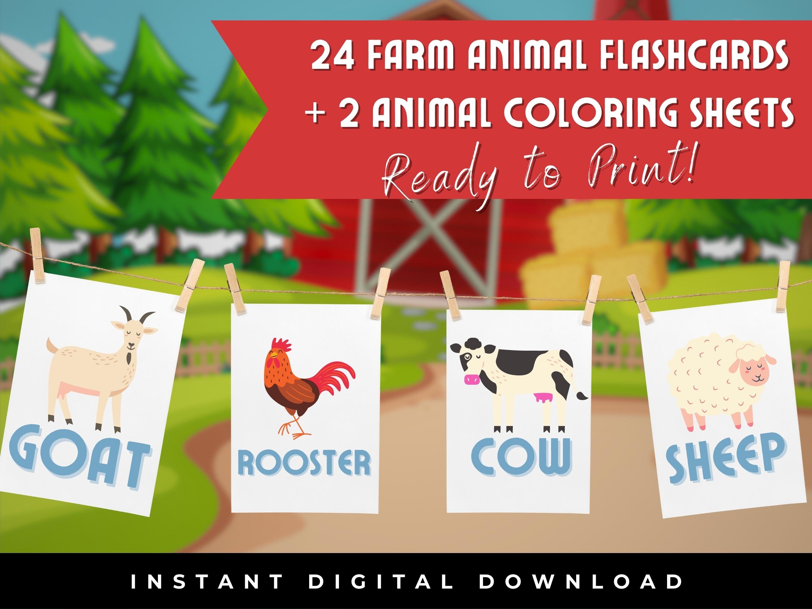 Printable Farm Animal Flash Cards for Toddlers, Preschool, Early ...