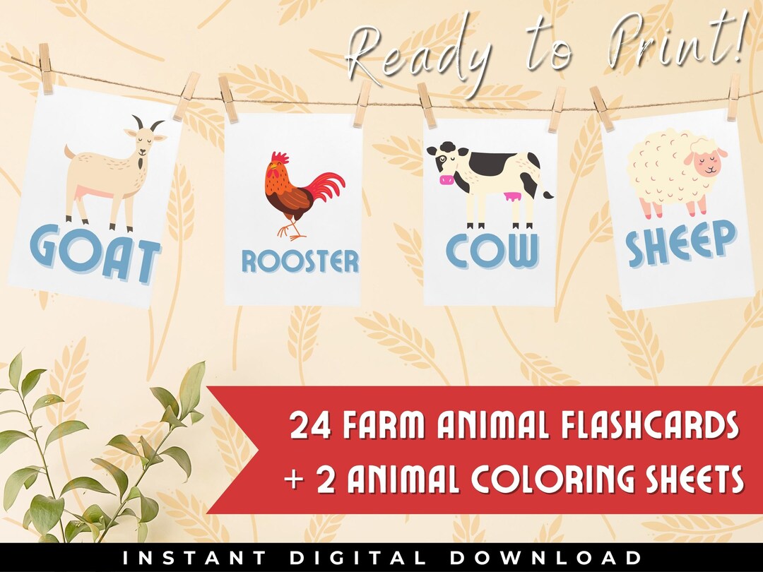Printable Farm Animal Flash Cards for Toddlers Preschool - Etsy