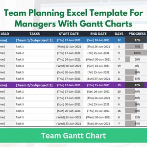 Team Planning Excel Template for Managers With Gantt Charts - Etsy