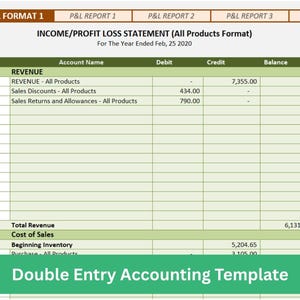 Double Entry Accounting Template - Excel Template With Examples - Etsy