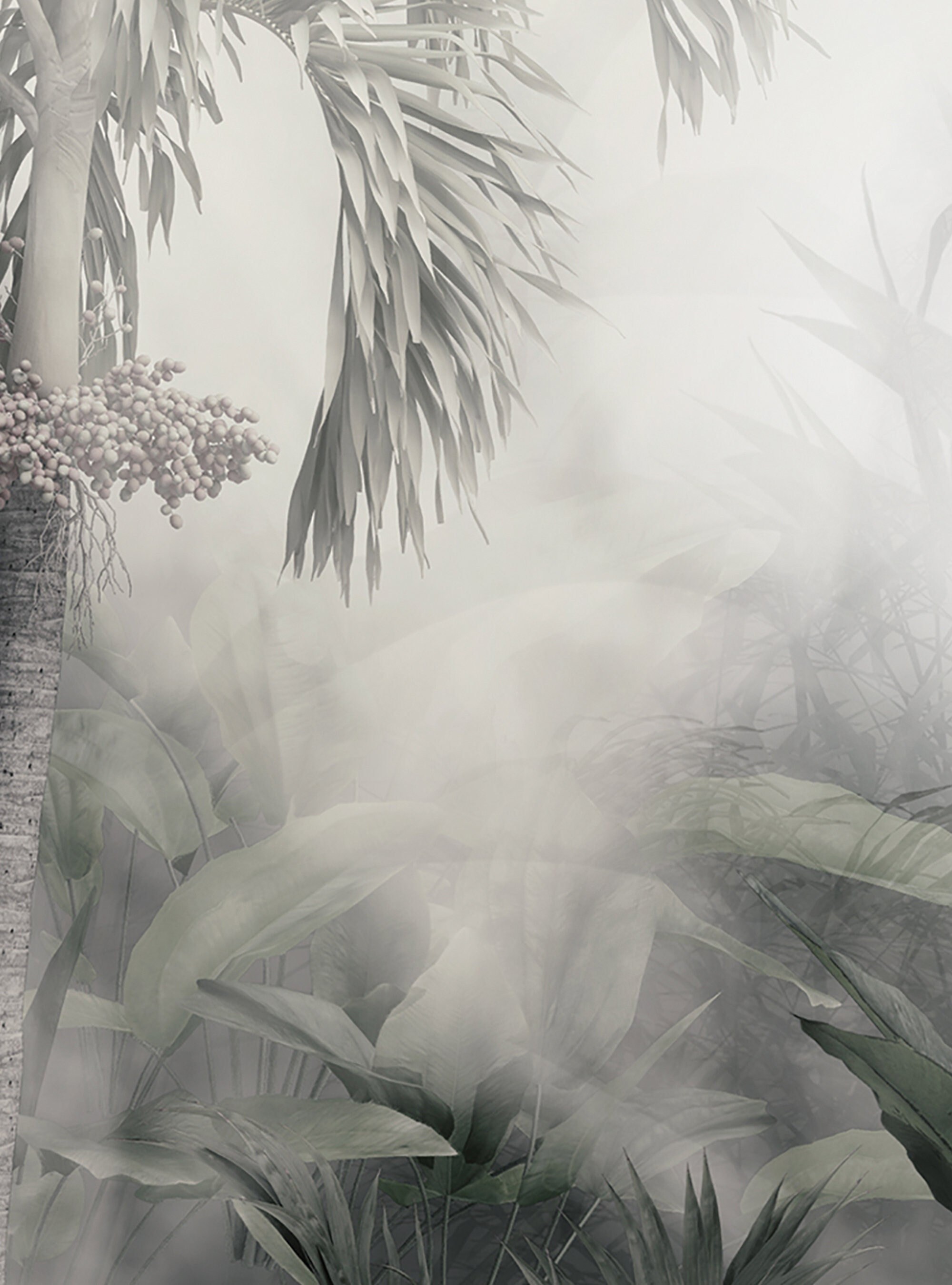 Misty Jungle Forest, Misty, Wall Mural Wallpaper - Etsy