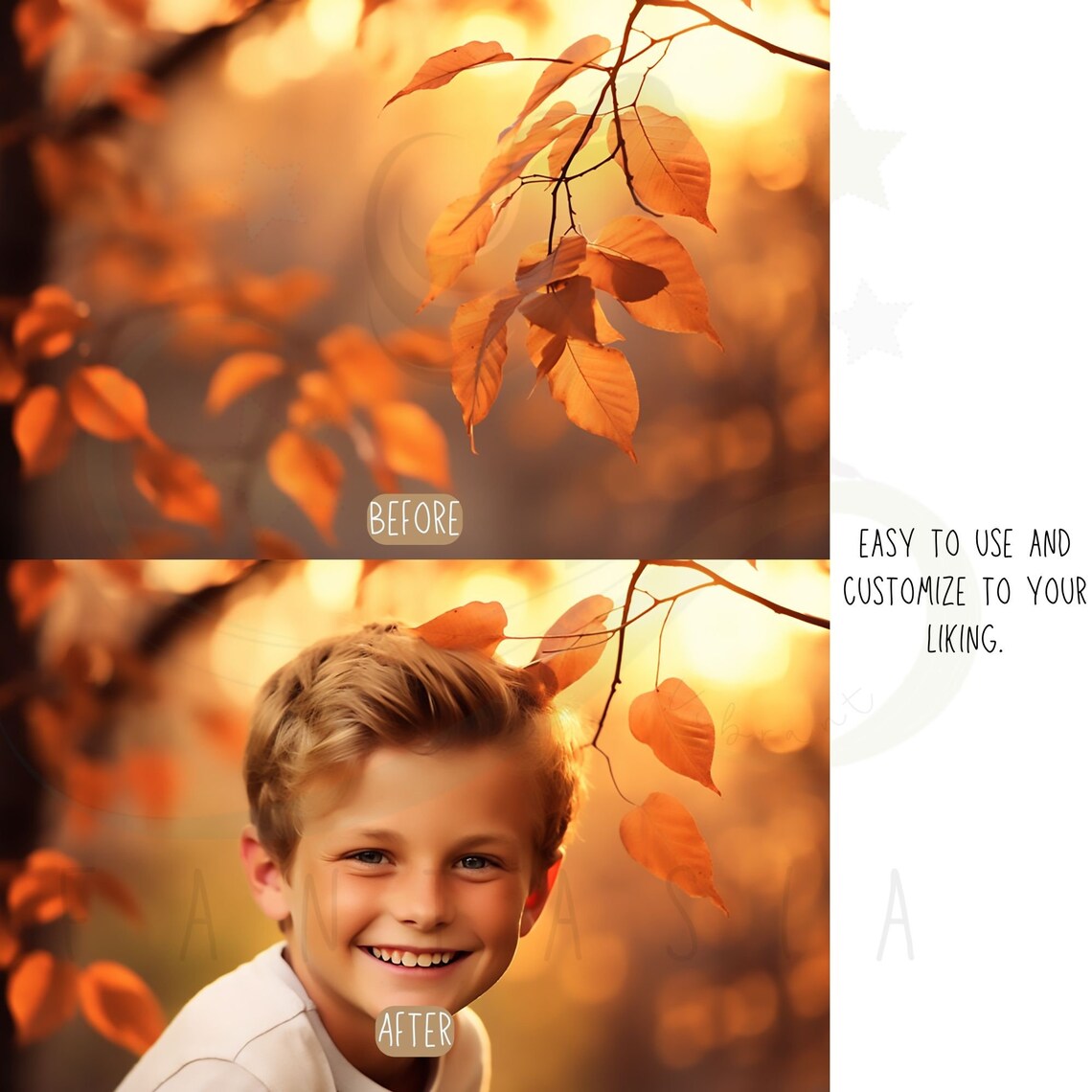 Autumn Leaves Digital Backdrops, Fall Background, Tree Branch Overlays ...