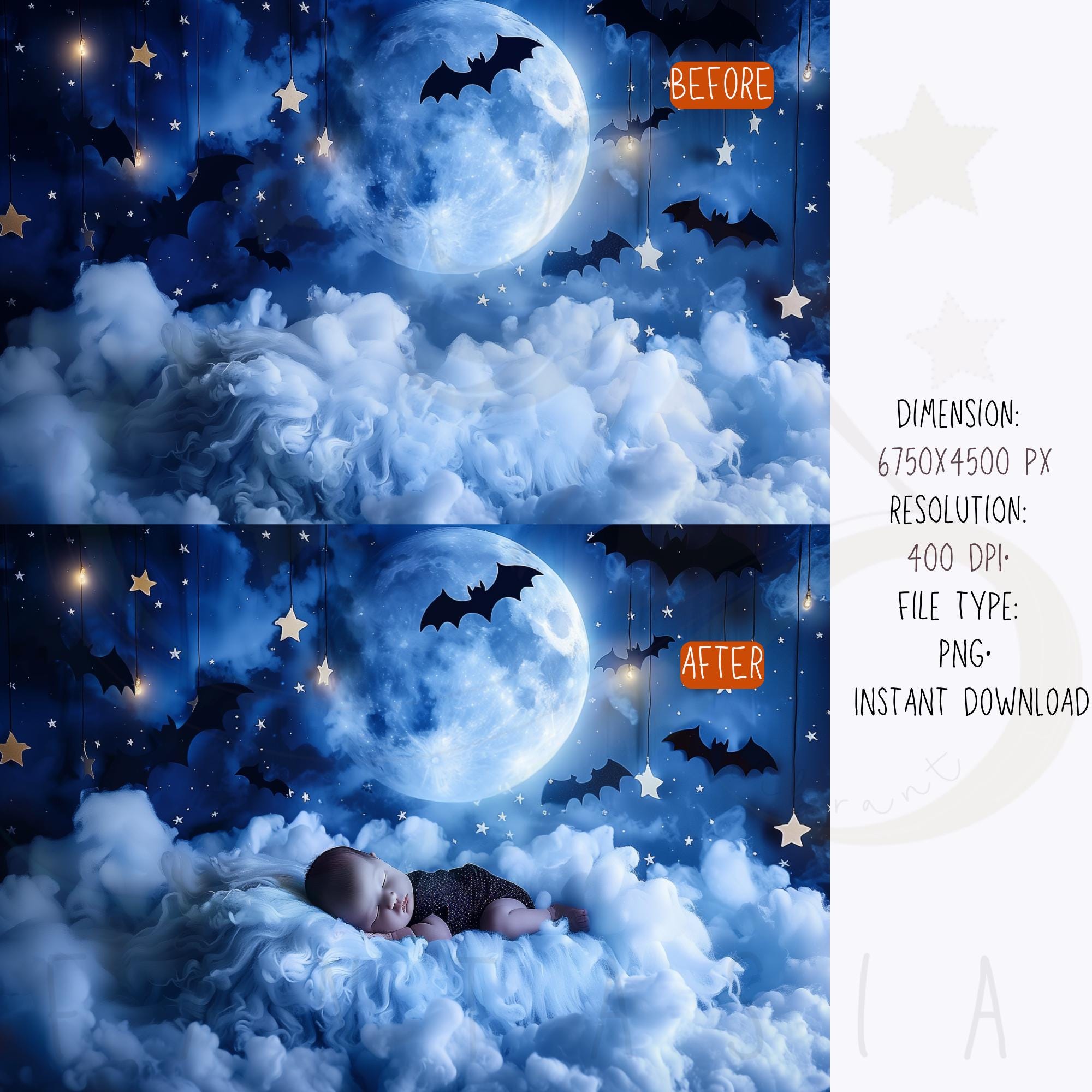 Newborn Halloween Digital Backdrops, Bat Overlays, Pumpkin Photography ...