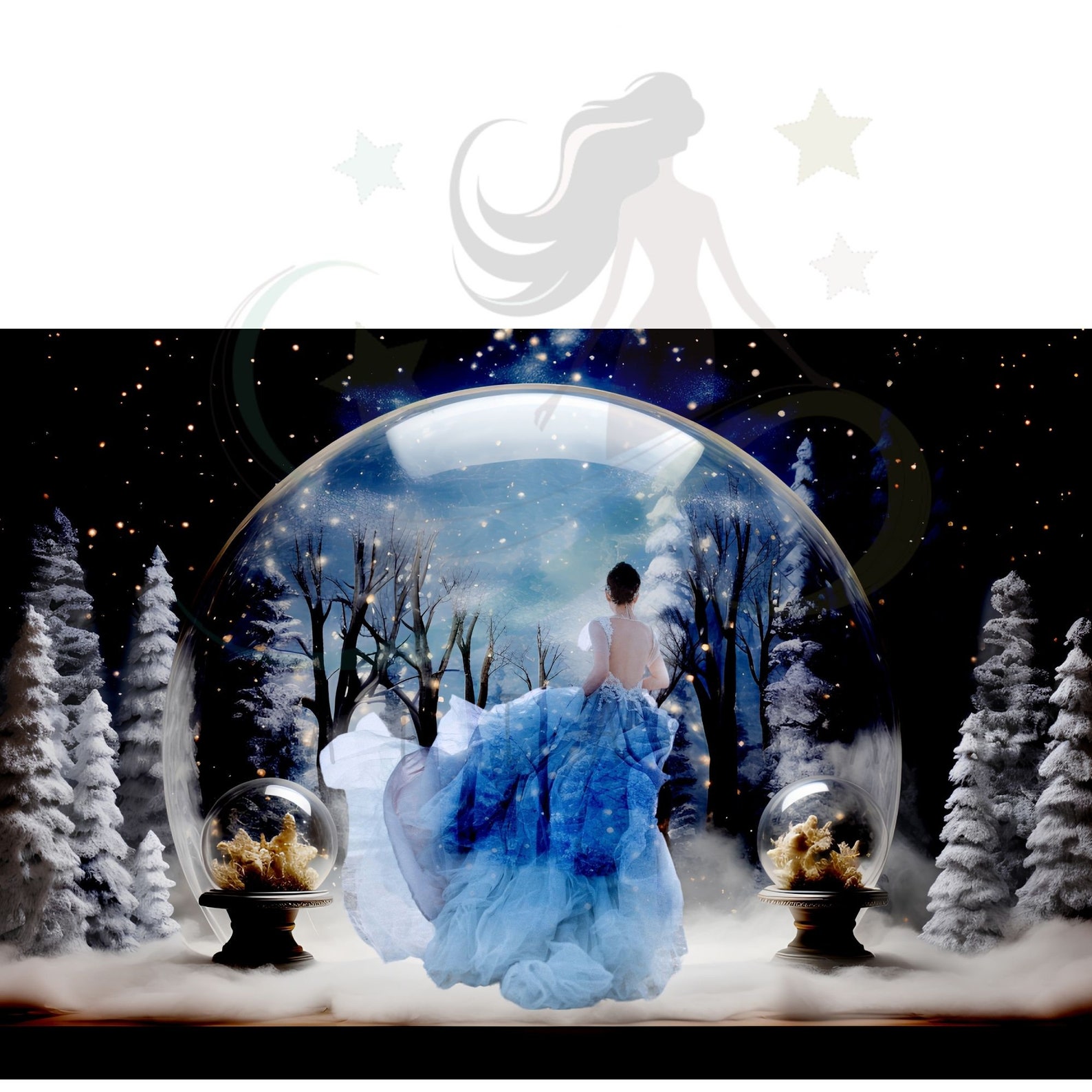 Christmas Snow Globe Digital Backdrops, Studio Backdrops Holiday ...