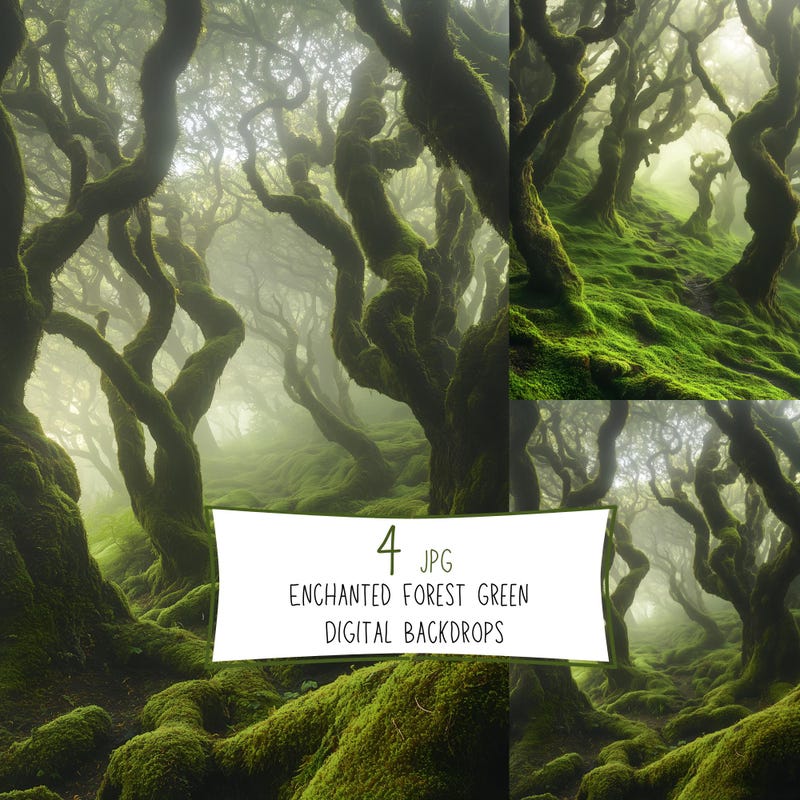 Enchanted Forest Backdrop - Etsy