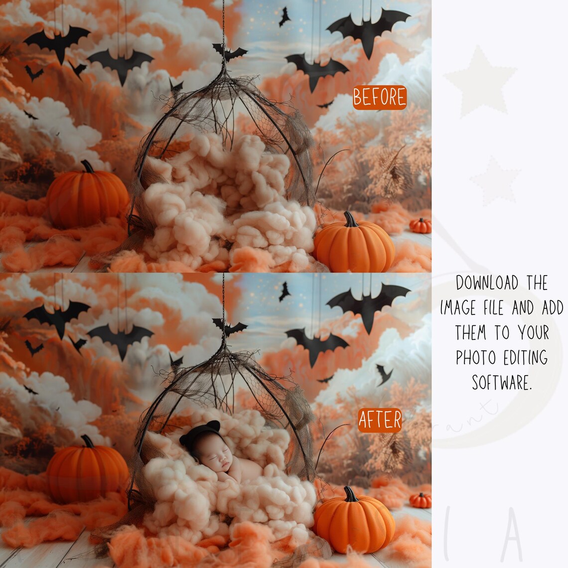 Newborn Halloween Digital Backdrops, Bat Overlays, Pumpkin Photography ...