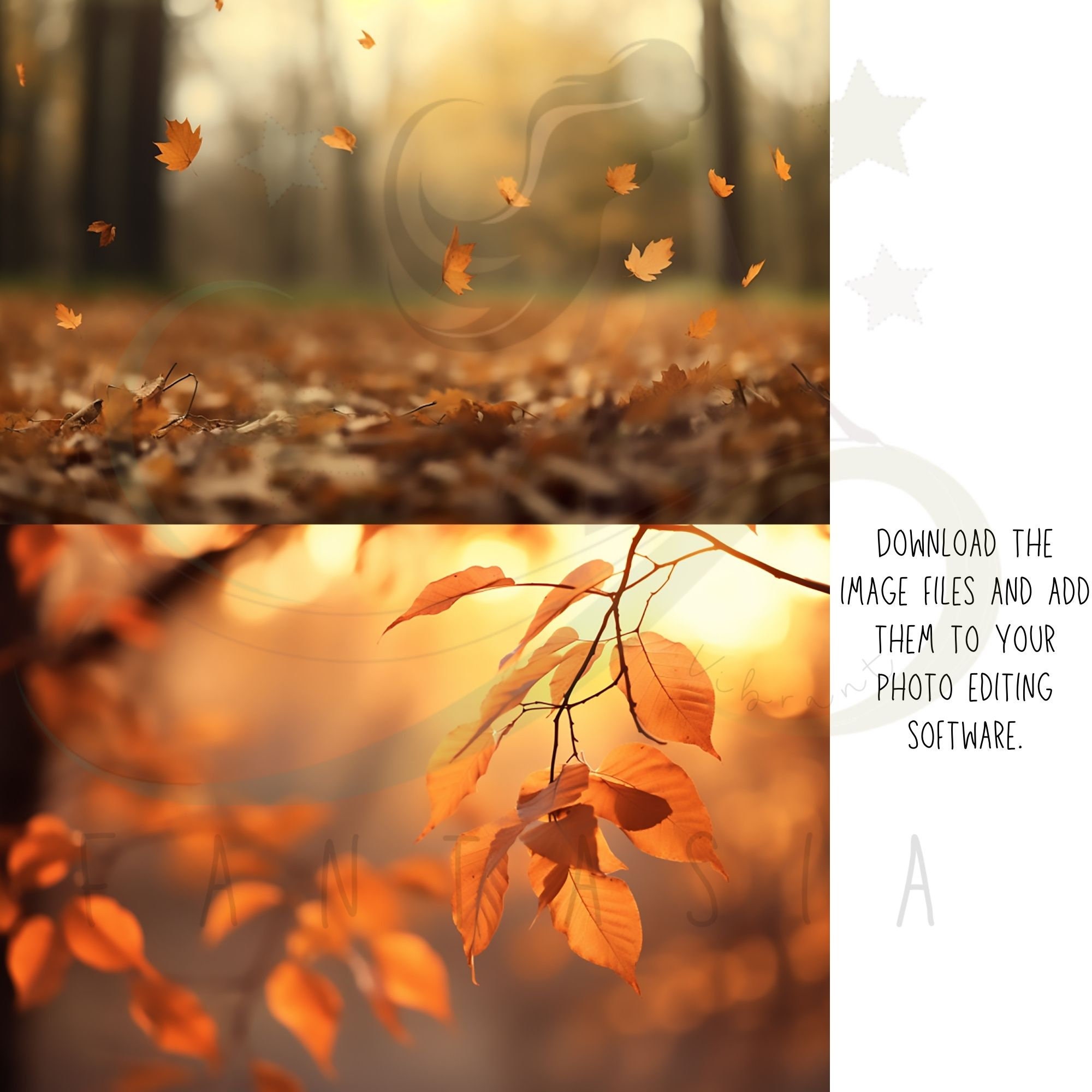 Autumn Leaves Digital Backdrops, Fall Background, Tree Branch Overlays ...
