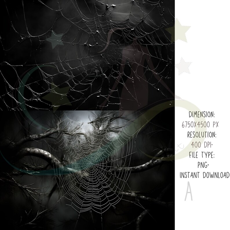 Web of Shadows Digital Backdrop, Spider Webs Backdrops, Halloween ...