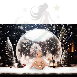 Christmas Snow Globe Digital Backdrops, Studio Backdrops Holiday ...