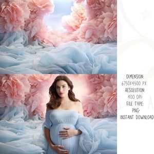 Fine Art Pink Floral Curtains Digital Backdrop Studio - Etsy