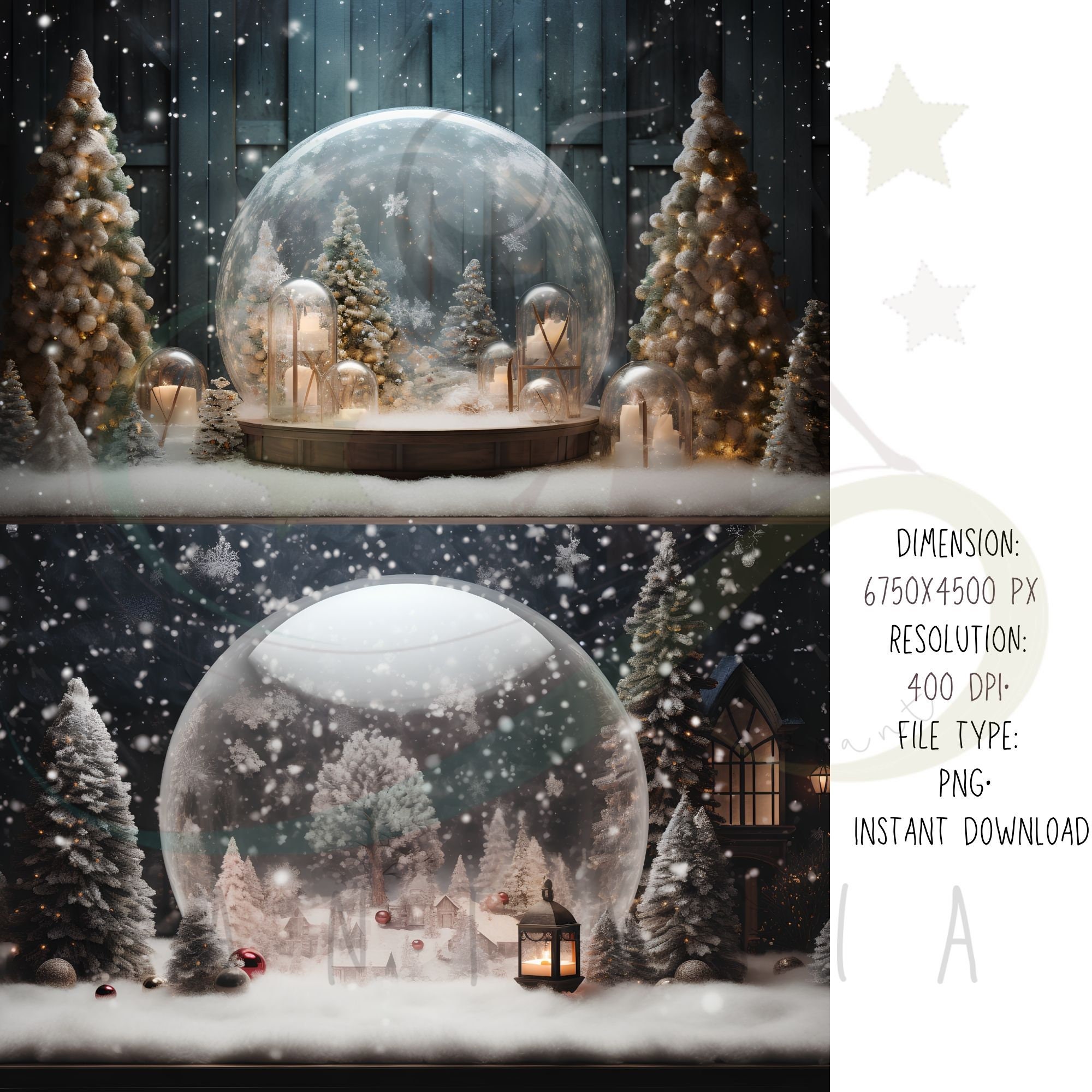 Christmas Snow Globe Digital Backdrops, Studio Backdrops Holiday ...