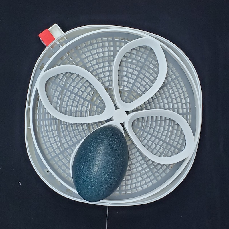 Farm Egg Tray - Etsy