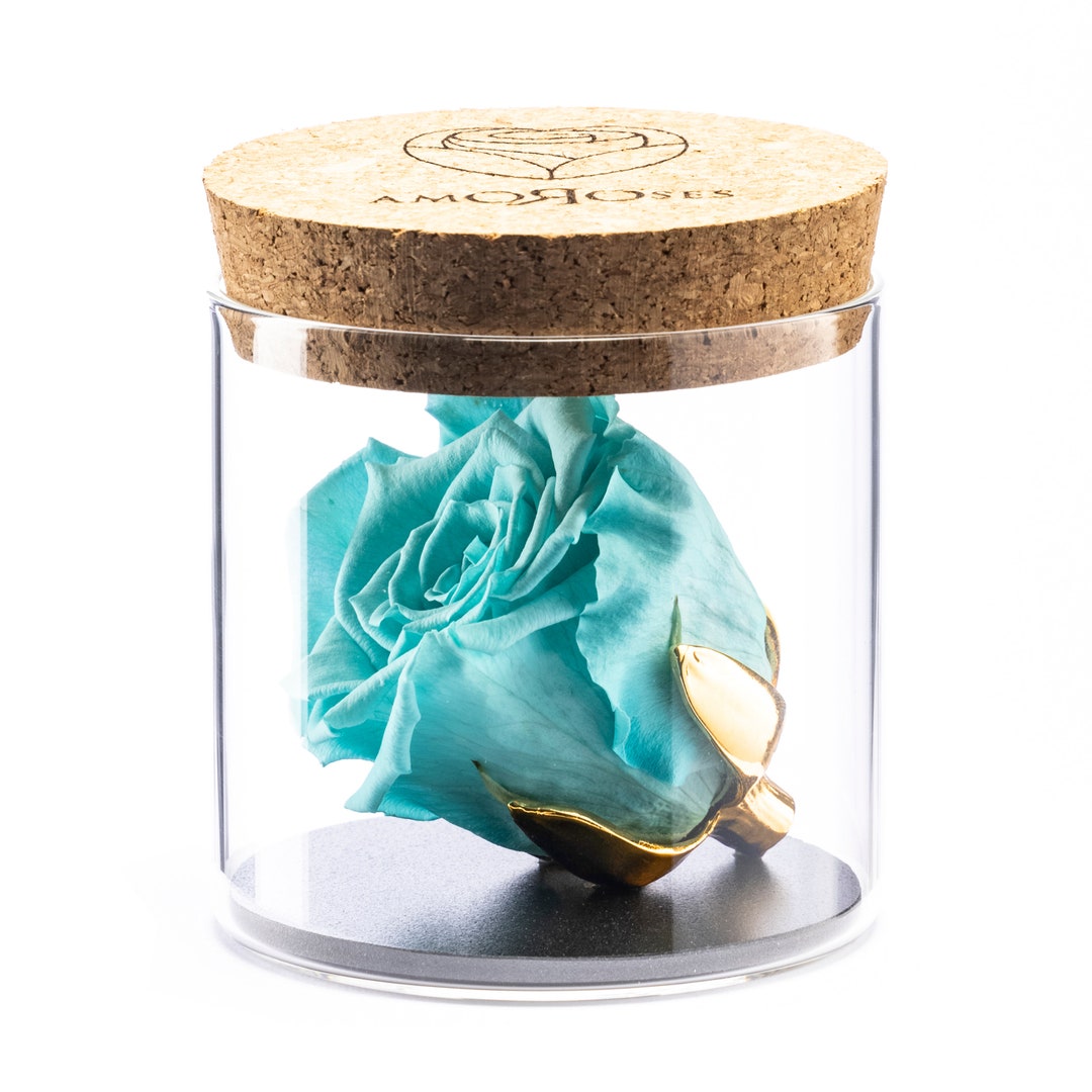 Amoroses Bijou - Real Stabilized Rose Mounted on a 24K Gold Plated ...