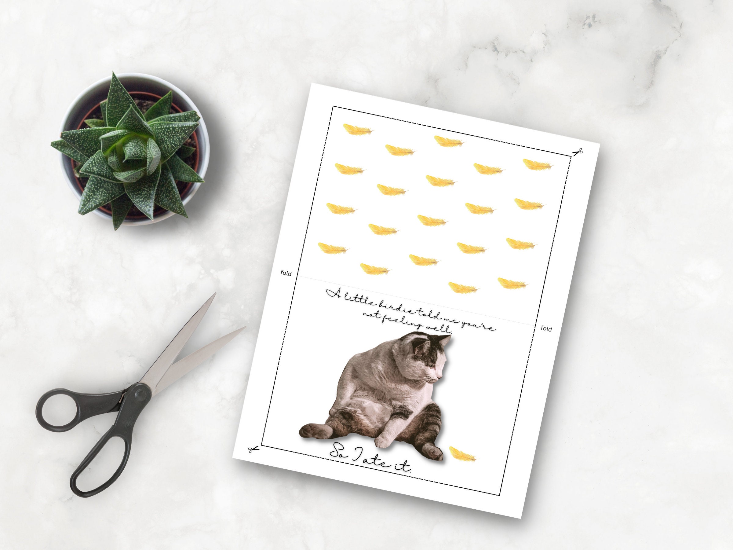 PRINTABLE Get Well Soon Card Digital Download, Funny Cat Card, Humorous ...