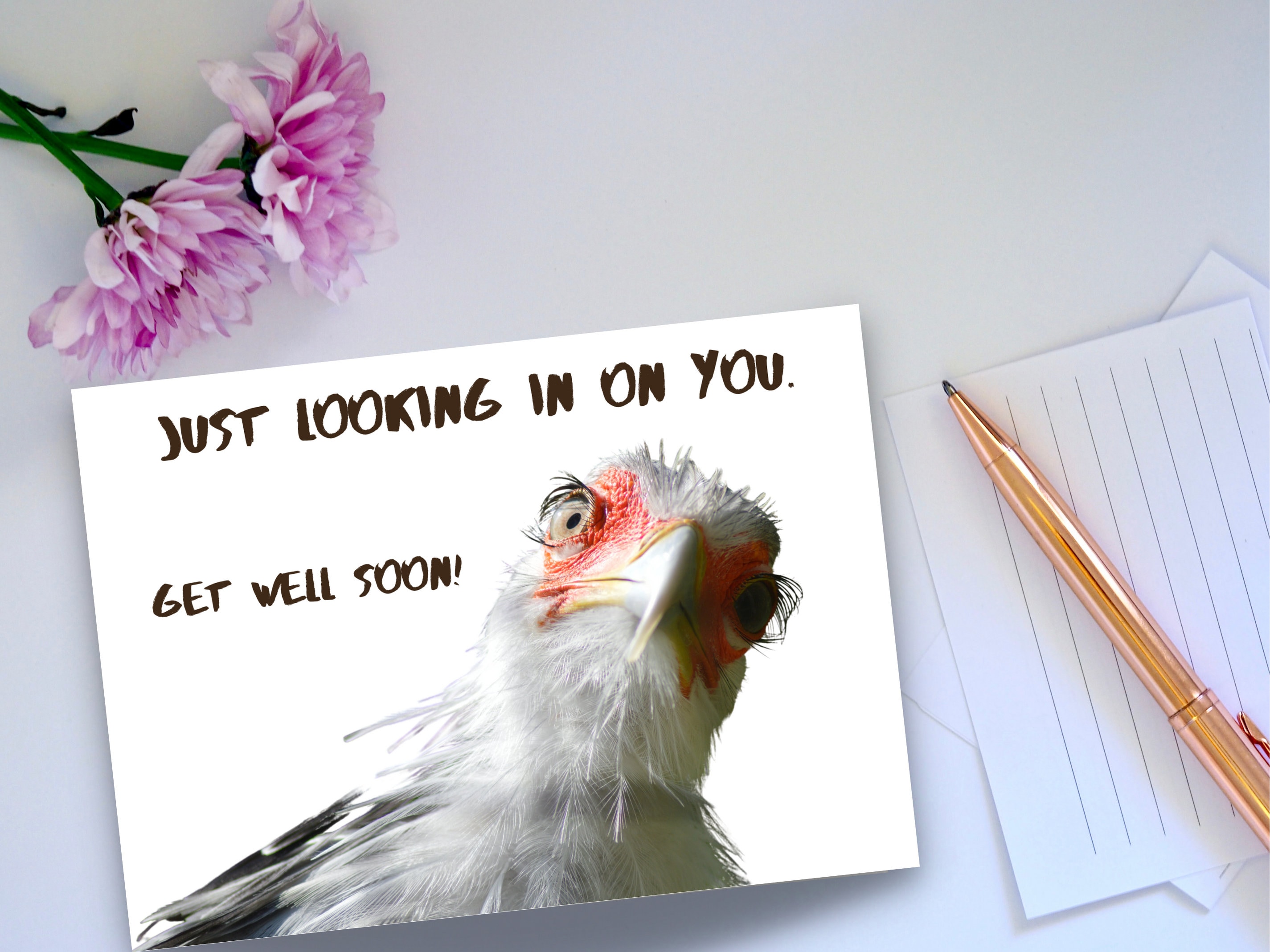 Printable Funny Get Well Soon Card Digital Download Greeting Card ...