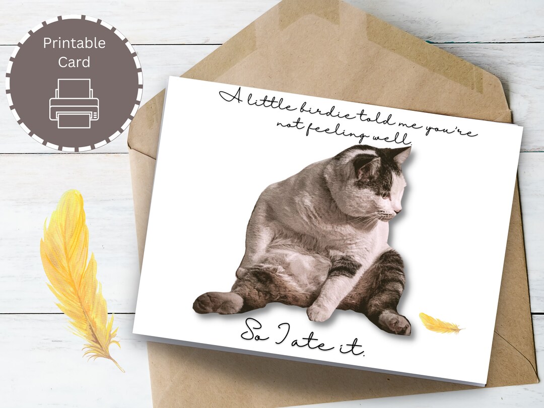 PRINTABLE Get Well Soon Card Digital Download, Funny Cat Card, Humorous ...
