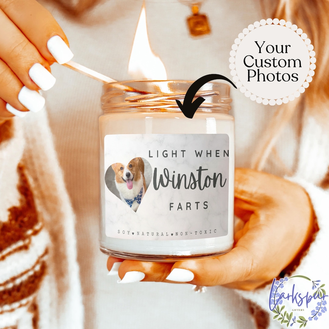 Dog Farts Candle, Funny Corgi Farts Candle, Funny Dog Owner Candle ...