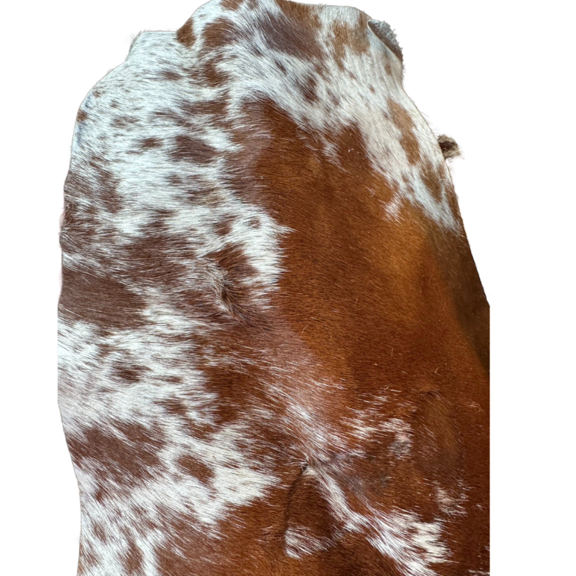 2lb Tanned Hide Genuine Leather Scrap Pieces Small and Large for ...