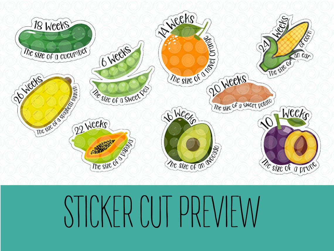 Baby Bump Stickers| Pregnancy Milestone Png| Pregnancy Weeks Baby Bump ...
