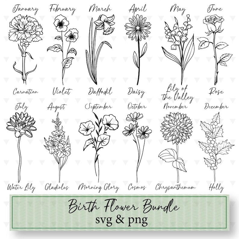 Birth Flower Svg, Birth Flower Png, Birth Month Flower Svg, Birth ...