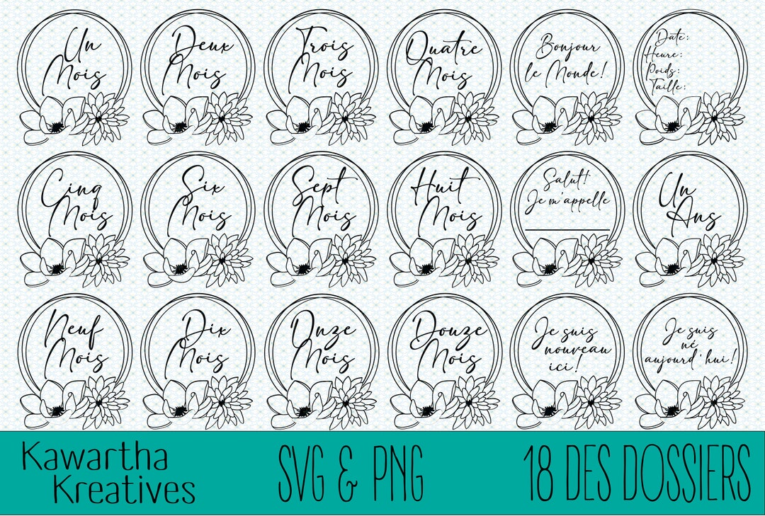 FRENCH MILESTONE Svg | Étape Importante Du Bébé Français Svg | Bébé Svg ...