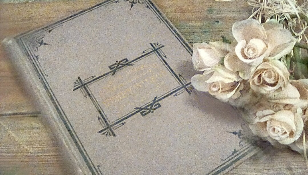Vintage Book, Memorial Addresses Life and Character of Henry Wilson ...