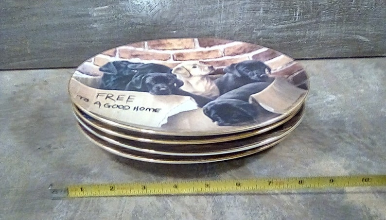 Vintage Franklin Mint Lab Puppy Plate, Nigel Hemming Limited Edition - Etsy