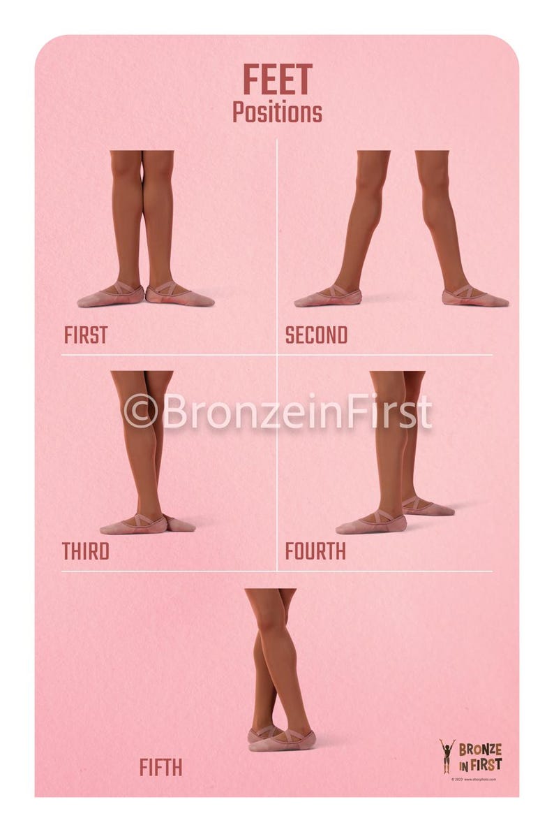 Ballet and Modern Dance Technique Posters I Bronze Bundle I Dance ...