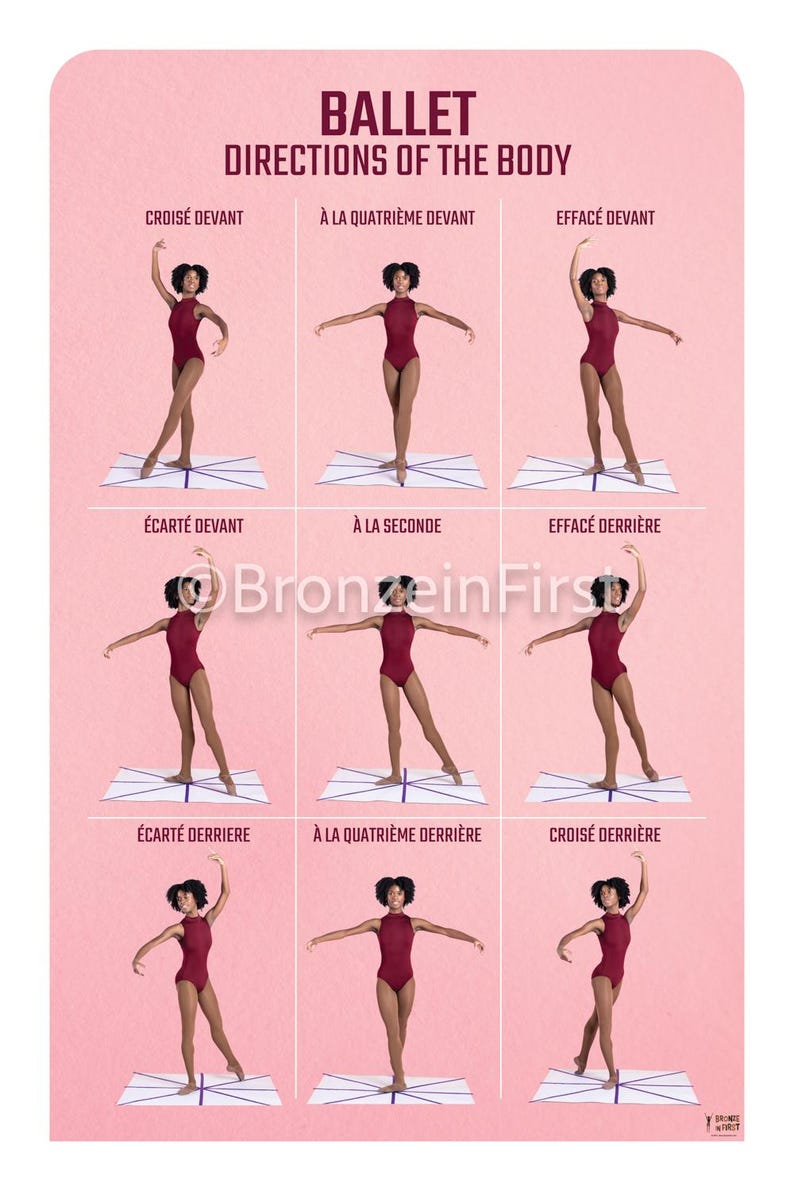Ballet & Modern Dance Technique Posters: Bronze Bundle (instant ...