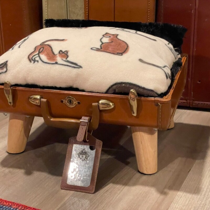 Suitcase Pet Bed - Etsy