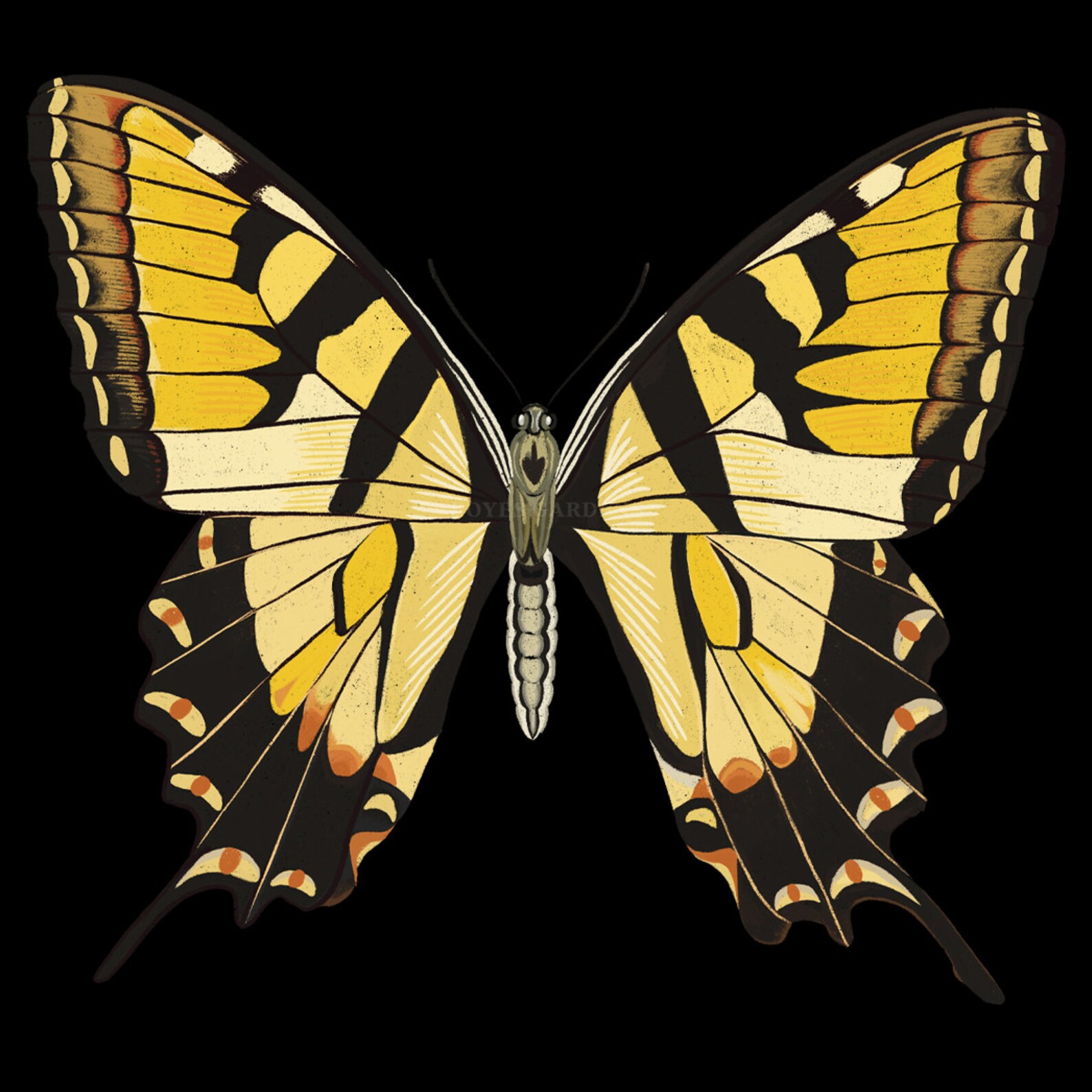 Yellow Butterfly #2 Hand Illustration Digital Art Flower Art Butterfly ...