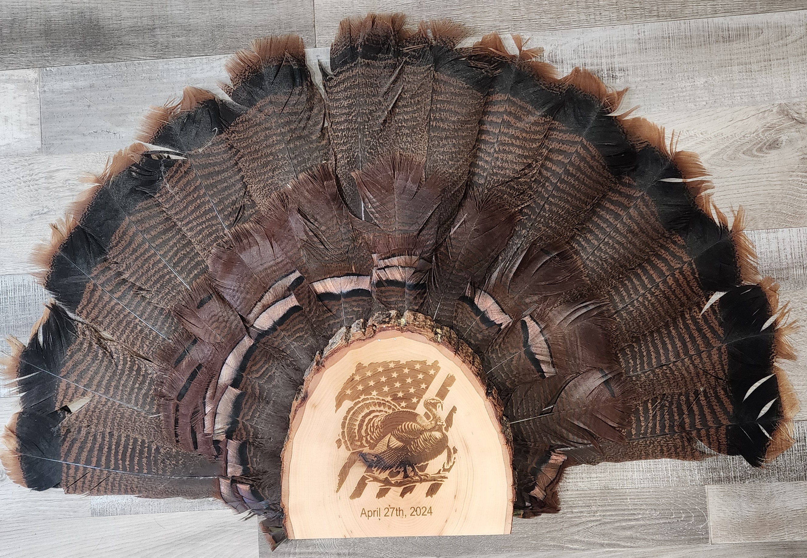 Turkey Fan/beard Plaque - Etsy