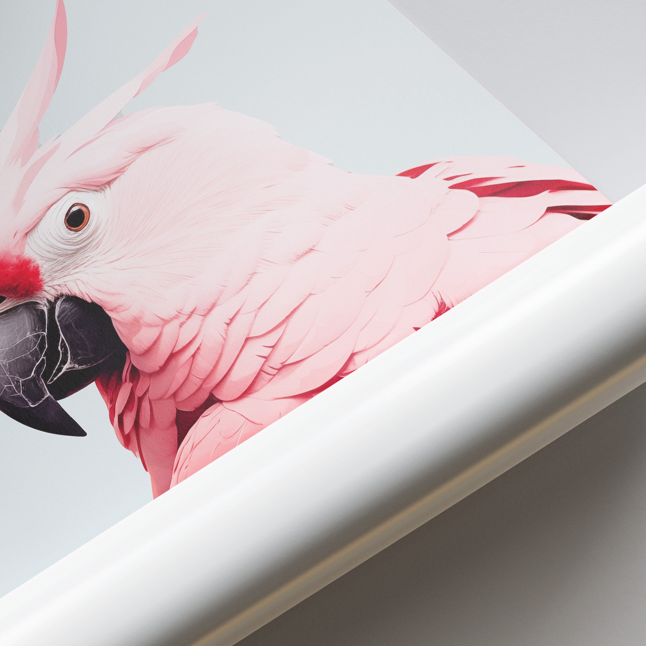 Pink Cockatoo Print, Ideal New Home Gift, Hallway, Office, Entryway ...