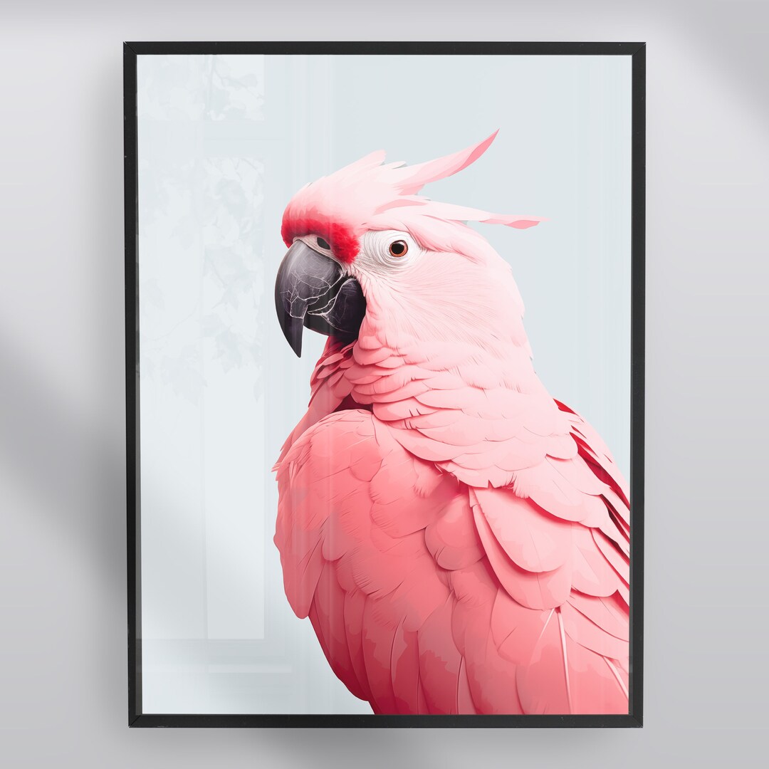 Pink Cockatoo Print, Ideal New Home Gift, Hallway, Office, Entryway ...
