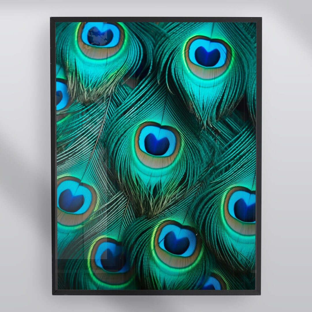 Peacock Feathers Unframed Print, Entryway, Hallway, Bedroom, Living ...