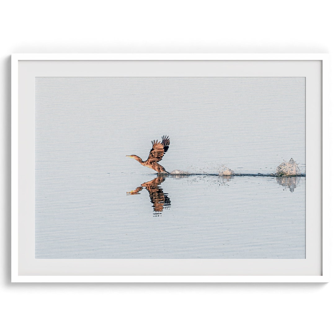 Fine Art Bird Fly Photography Print Large Minimalist Bird Wall Art ...