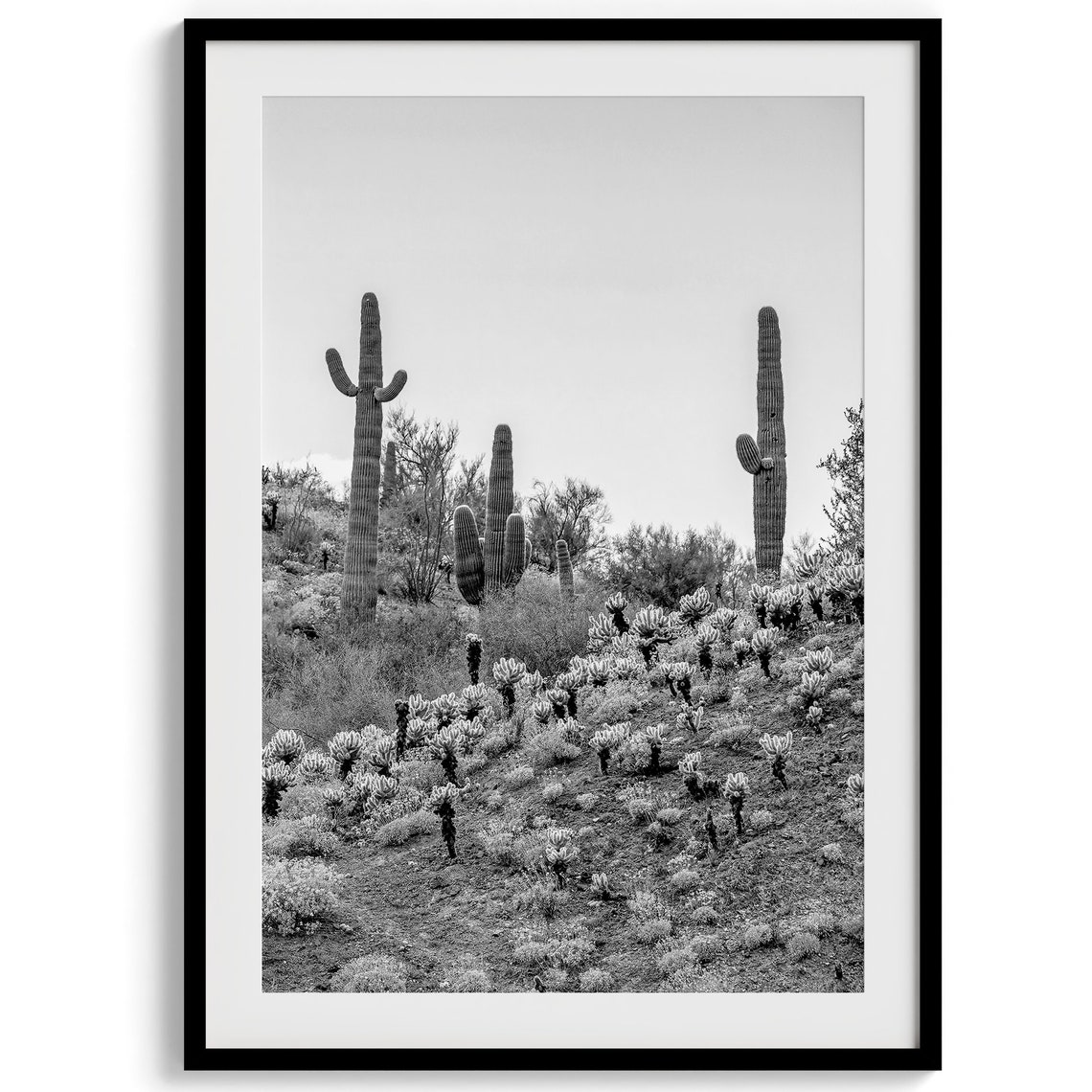 Arizona Desert Set of 3 Fine Art Prints - Saguaro Cactus 3 Piece Wall ...