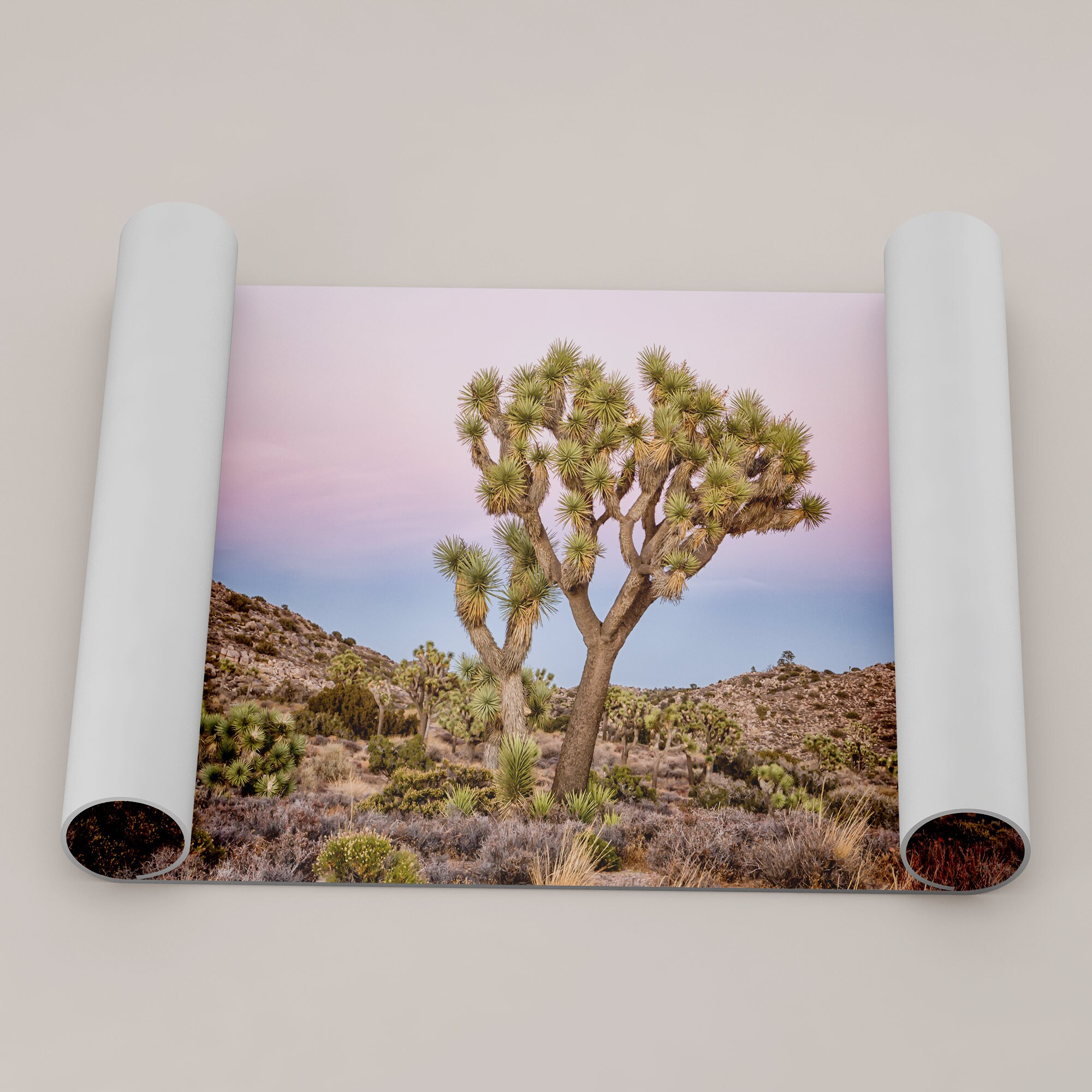 Joshua Tree Pink Sunset Fine Art Print Colorful Wall Art - Etsy
