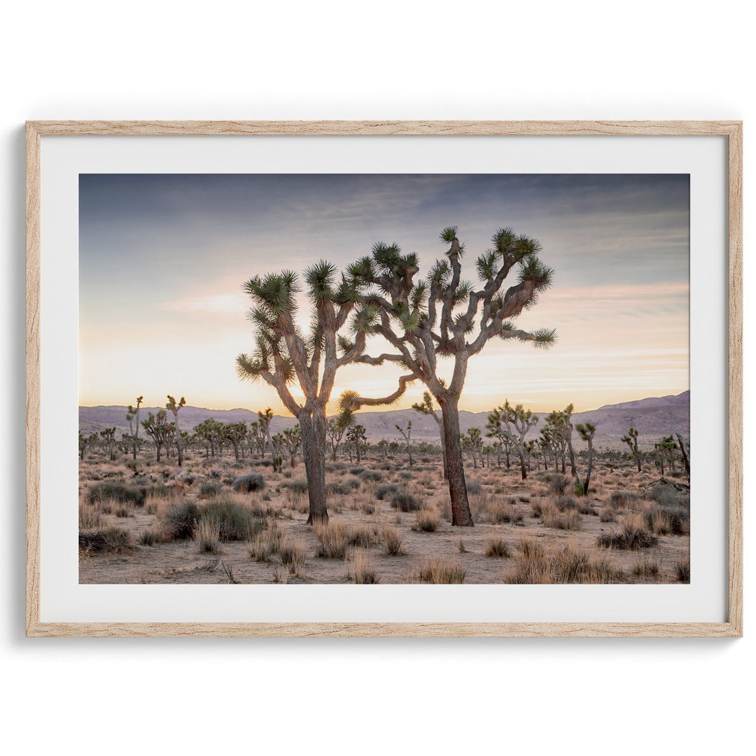 Joshua Trees holding Hands Fine Art Photography Print Joshua Tree ...
