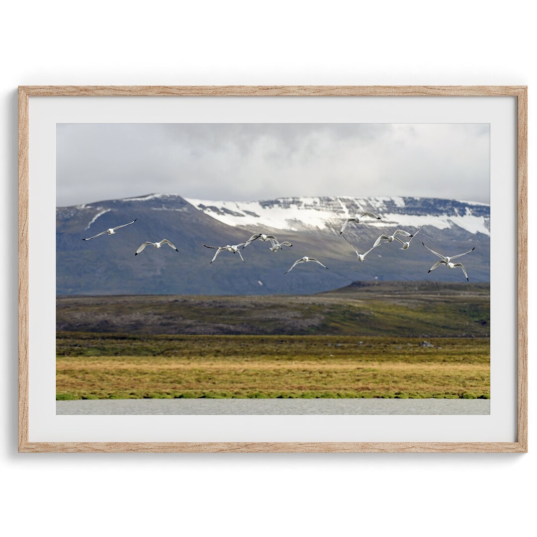 Fine Art Iceland Mountain Print Bird Wall Art, Large Framed Iceland ...