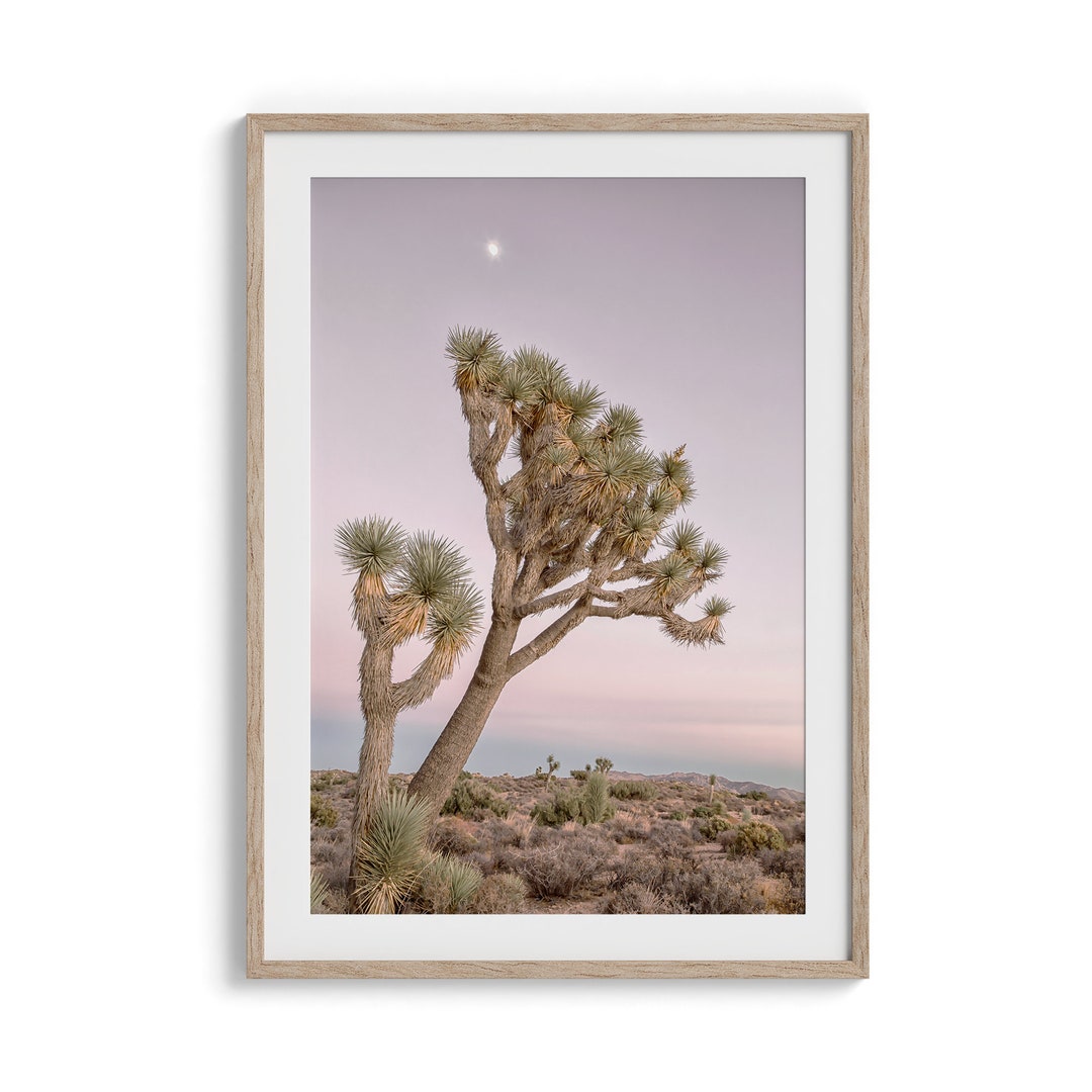 Joshua Tree Pink Sky Sunset With Moon Print Desert Sunset - Etsy