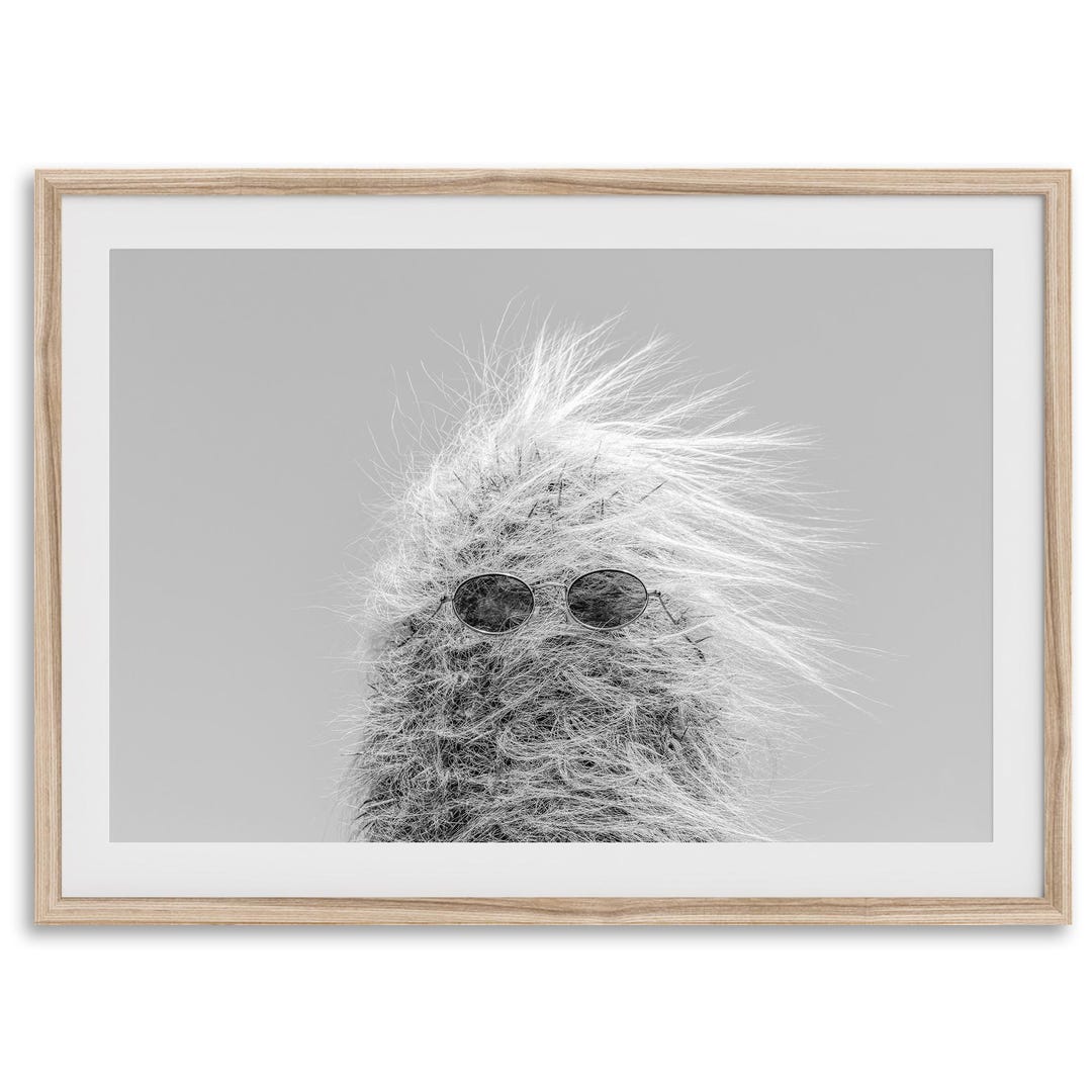 Cool Cactus Fine Art Photography Print - Americana Desert Wall Art ...