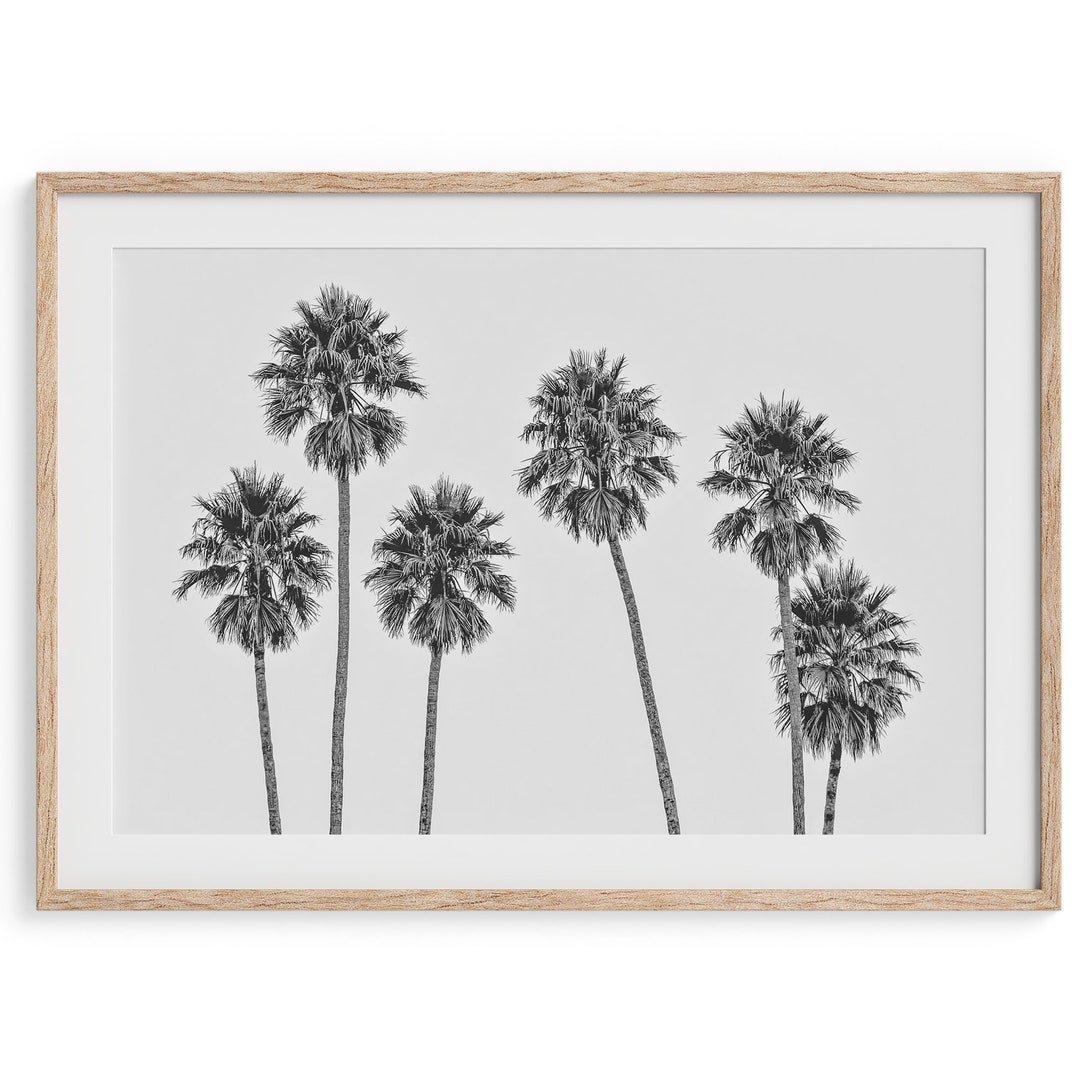 Minimalist Palm Tree Fine Art Photography Print - Black and White Beach ...