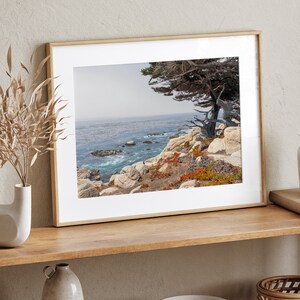 California Ocean Tree Fine Art Photography Print - Coastal Tree ...