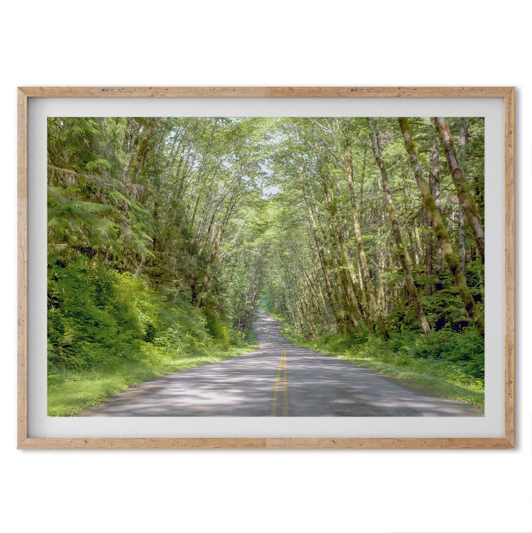 Forest Road Tree Tunnel Fine Art Print - Washington Wall Art, Hall of ...
