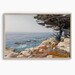 California Ocean Tree Fine Art Photography Print Coastal Tree Monterey ...