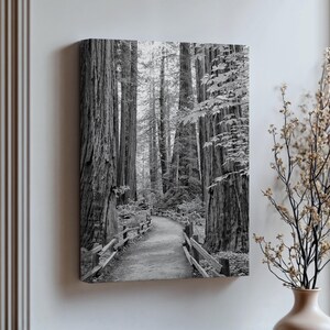 Large Forest Canvas Wall Art - Black and White Redwood Pathway Fine Art ...